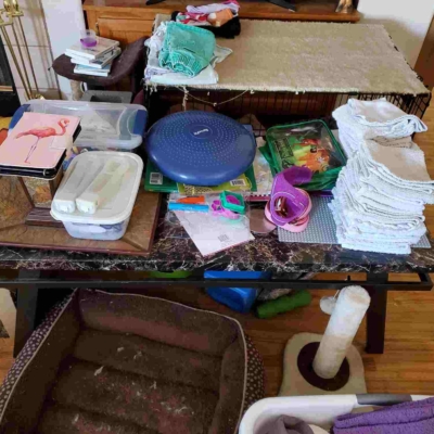 STUFFology 101 | Define Your Clutter in 2021