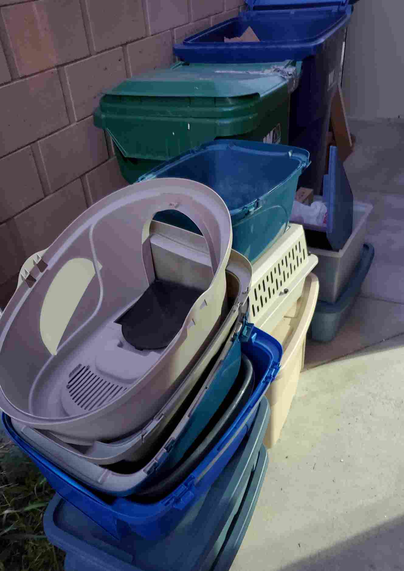 Kids, Cats, and Clutter