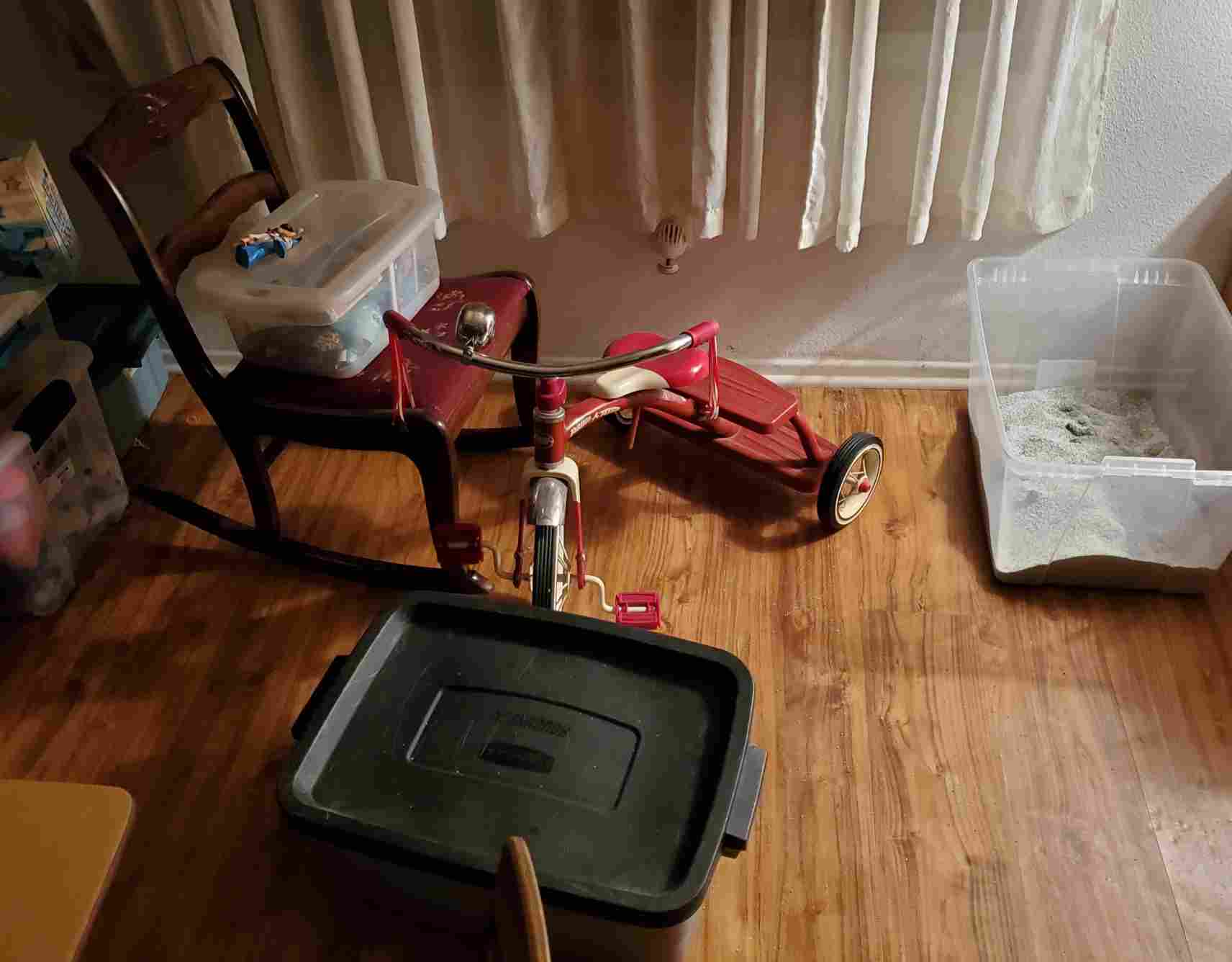 Kids, Cats, and Clutter